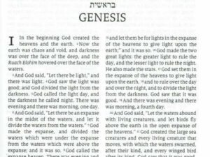New Jerusalem Version (Bible Review) - The Messianic Light